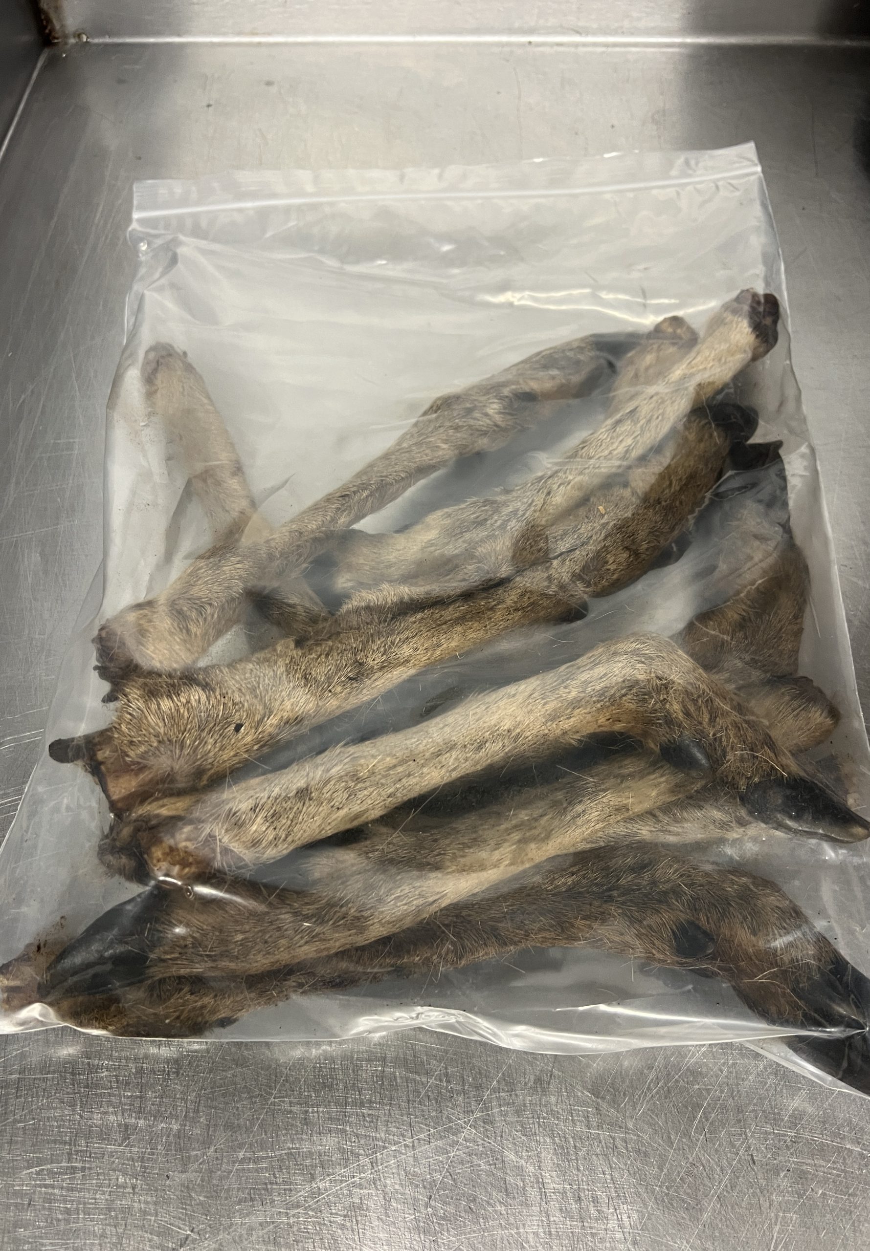 Venison Leg with hair - Drool - Roberts Raw Animal Foods